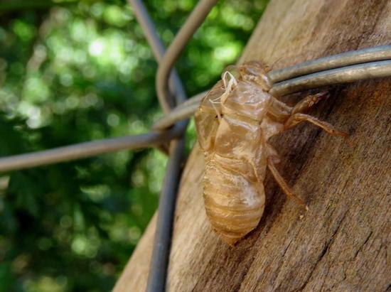 Reserva Ecológica Costanera Sur