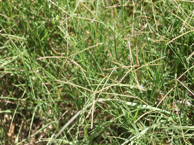 Reserva Ecológica Costanera Sur